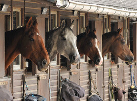 2018 NATIONAL SHOW STABLING